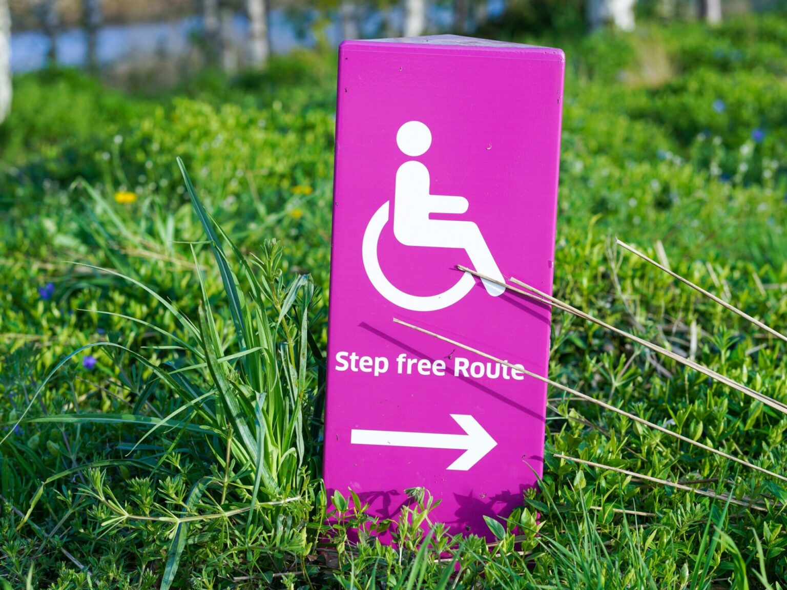 A Quick Guide to Texas Accessibility Standards (TAS) » EB3 Construction ...