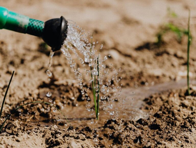 Building Site Dust Control: Strategies to Reduce Construction Dust ...